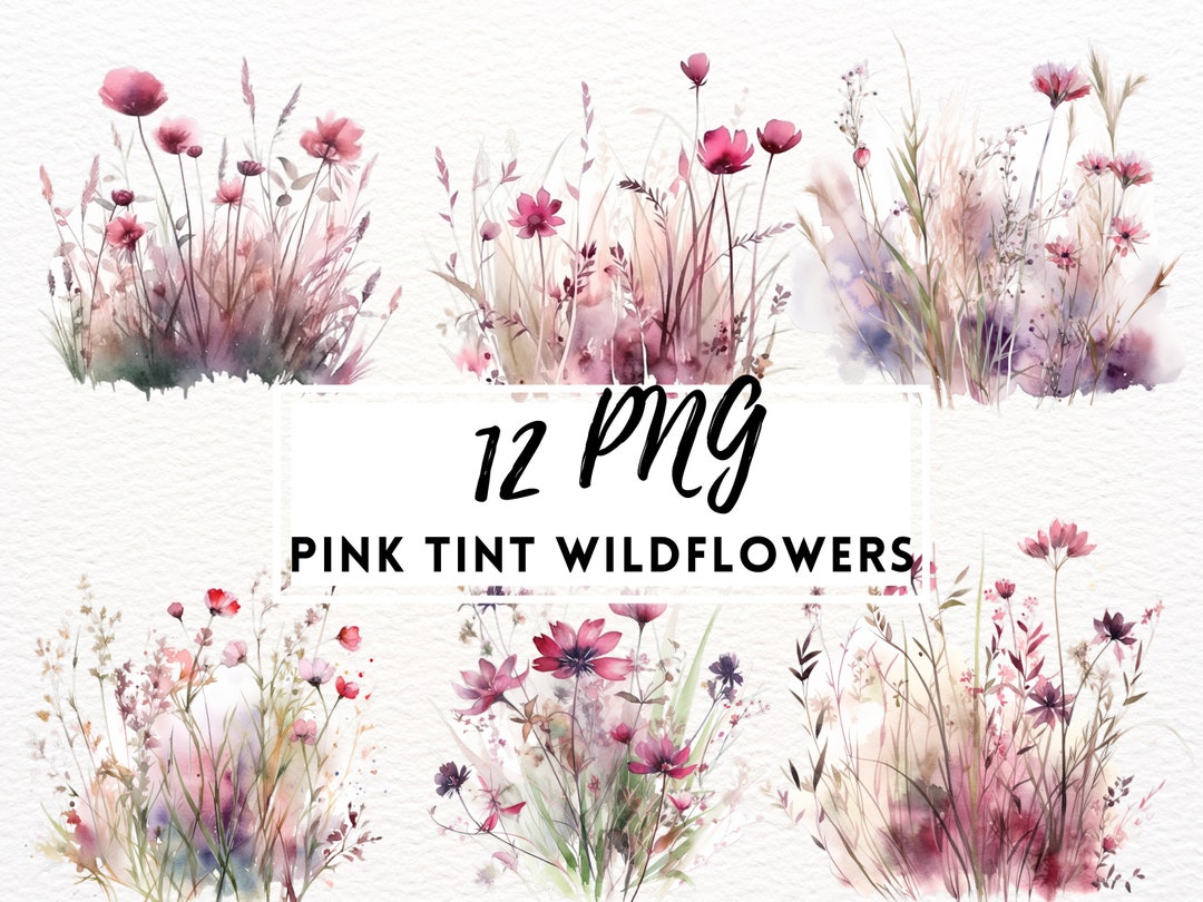 Pink Tinted Wild Floral Clipart, Floral Watercolor Borders, Clipart ...