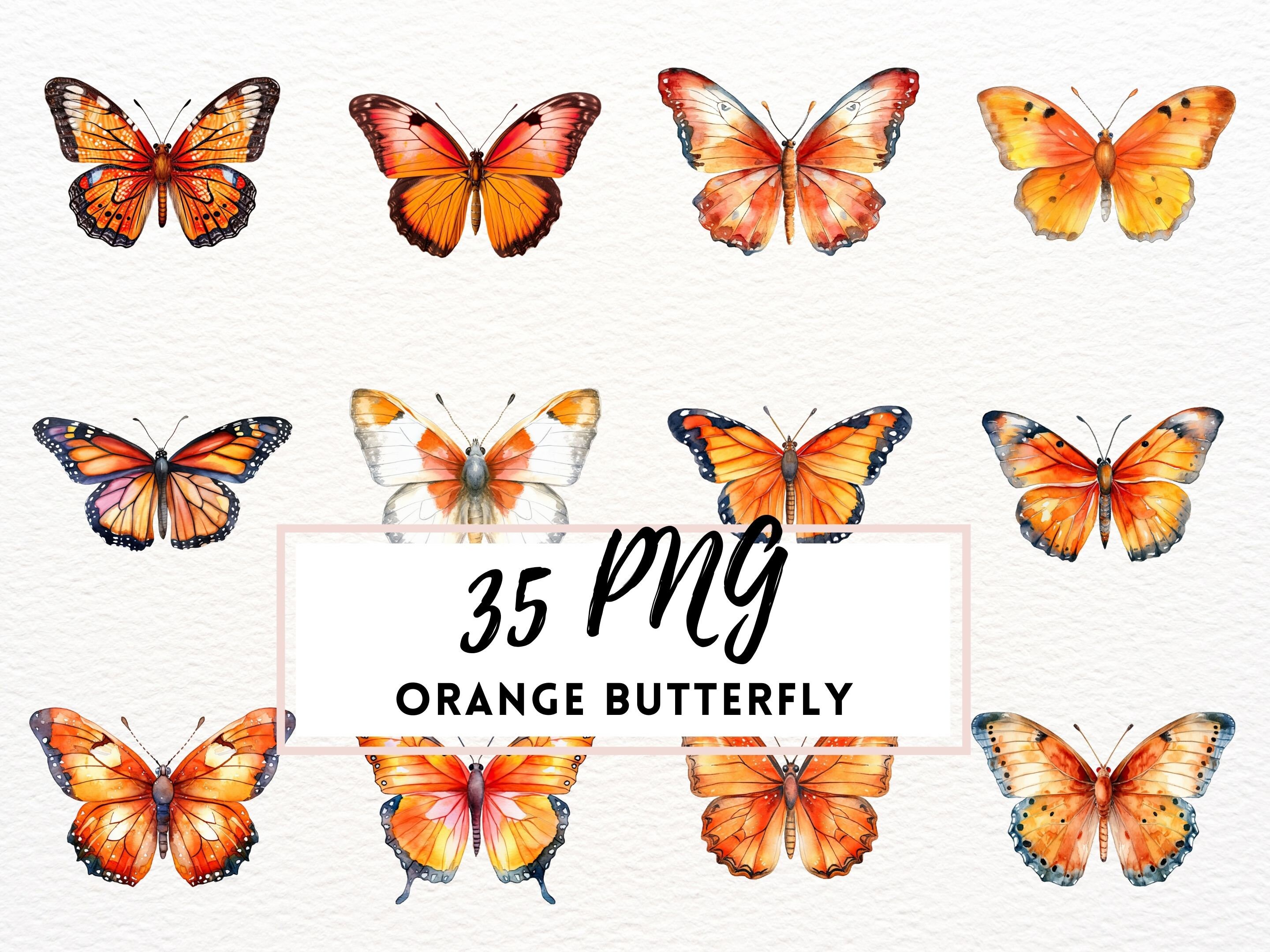 Watercolor Orange Butterfly Clipart Set, 35 PNG Graphics (digital ...