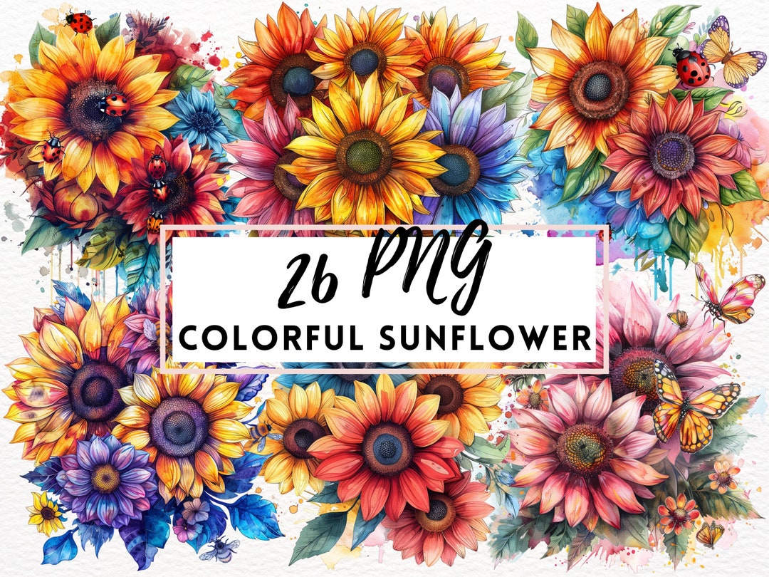 Rainbow Sunflowers Clipart, Watercolor Sunflower PNG, Sunflower Art ...