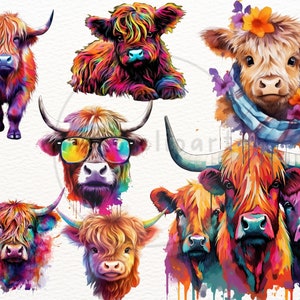 Rainbow Watercolor Highland Cow Clipart, Painted Highland Cow Clipart ...