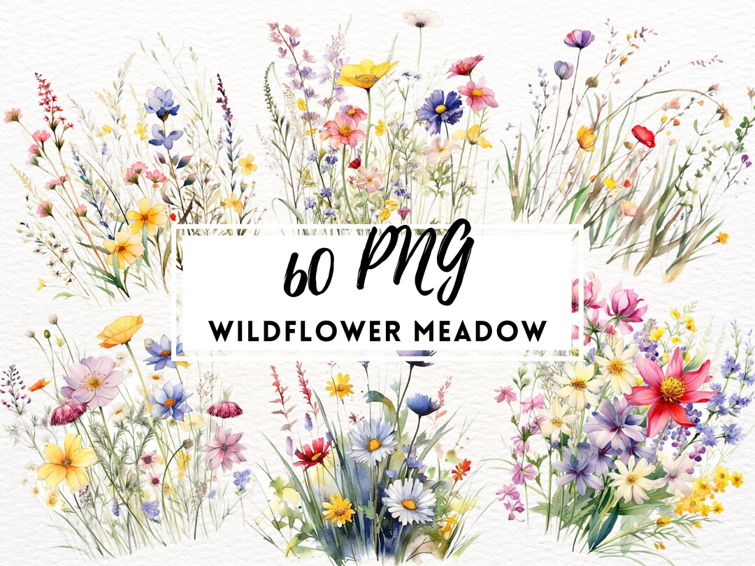 Spring Wildflower Meadow Clipart PNG, Summer Floral Nature Images, Wild ...