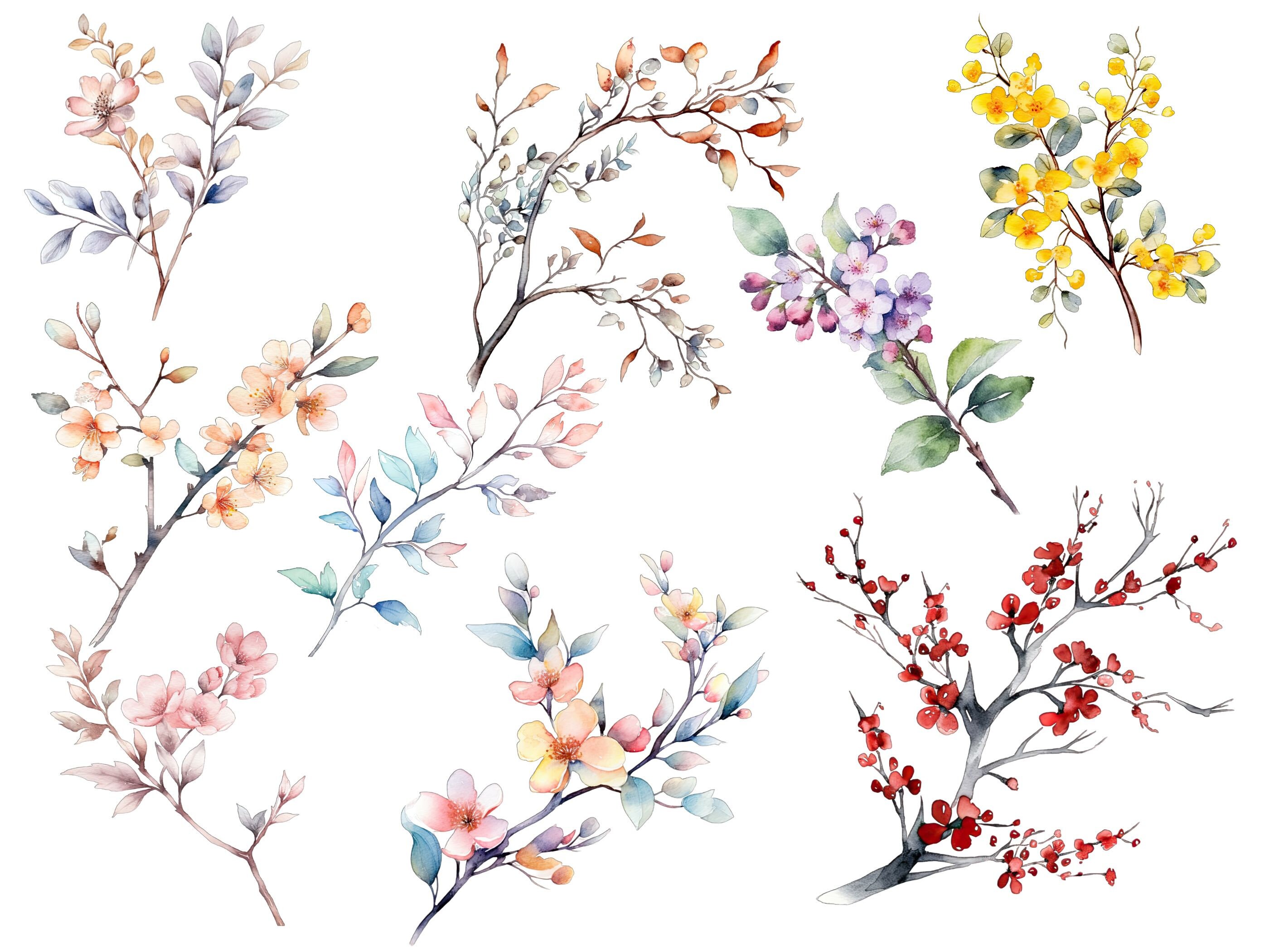 Floral Bird Cage Clipart, Watercolor Shabby Chic PNG (digital Download ...
