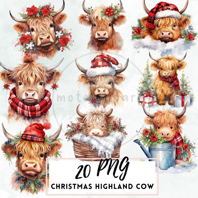 Christmas Highland Cow Watercolor Clipart Cow PNG Bundle - Etsy