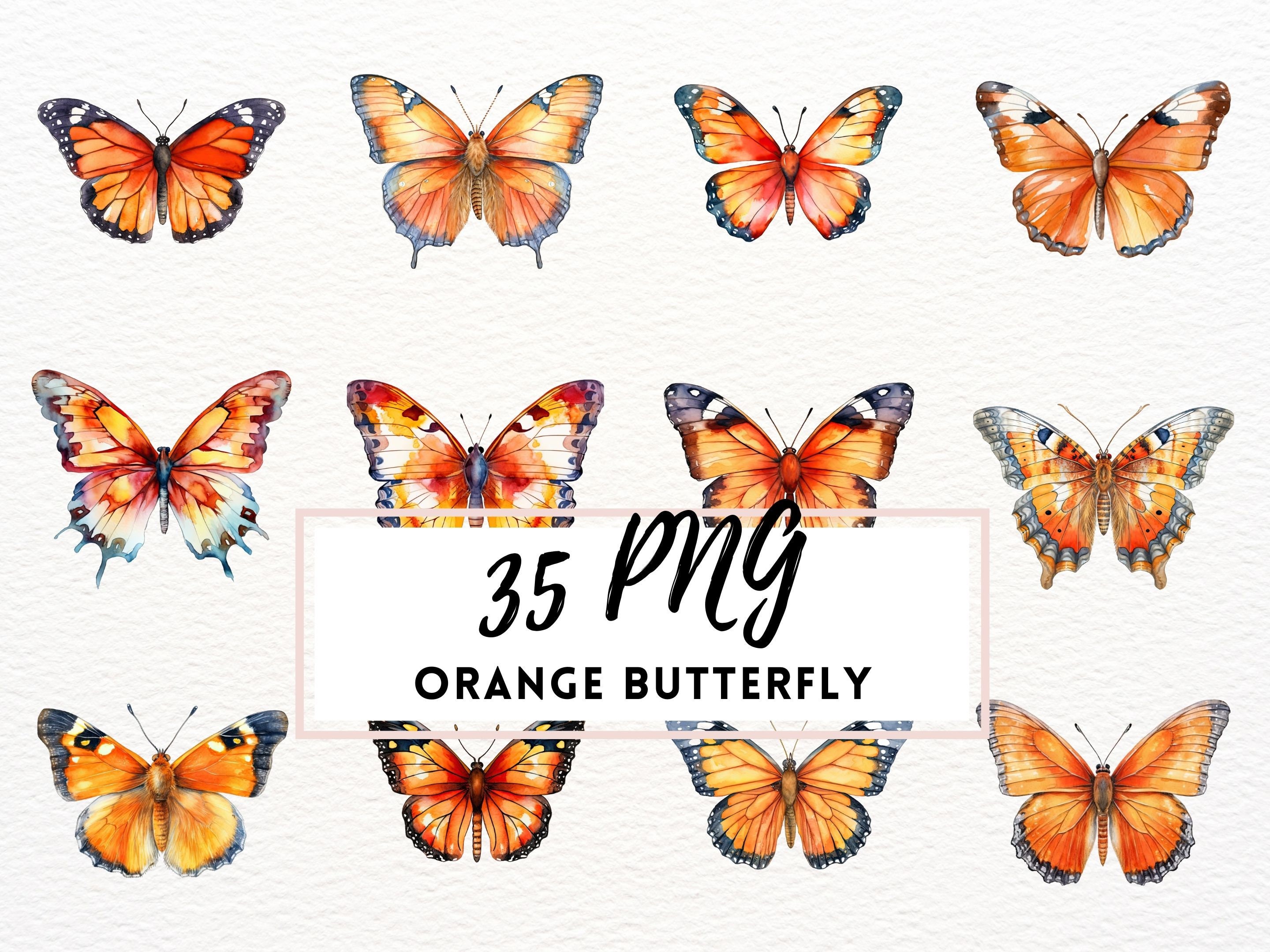 Watercolor Orange Butterfly Clipart Set, 35 PNG Graphics (digital ...