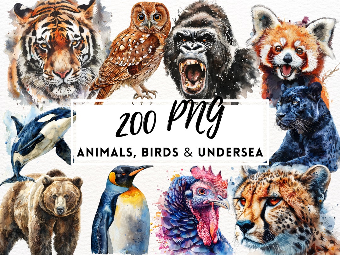 Watercolor Animals Clipart, Jungle Animal Illustrations, Woodland ...