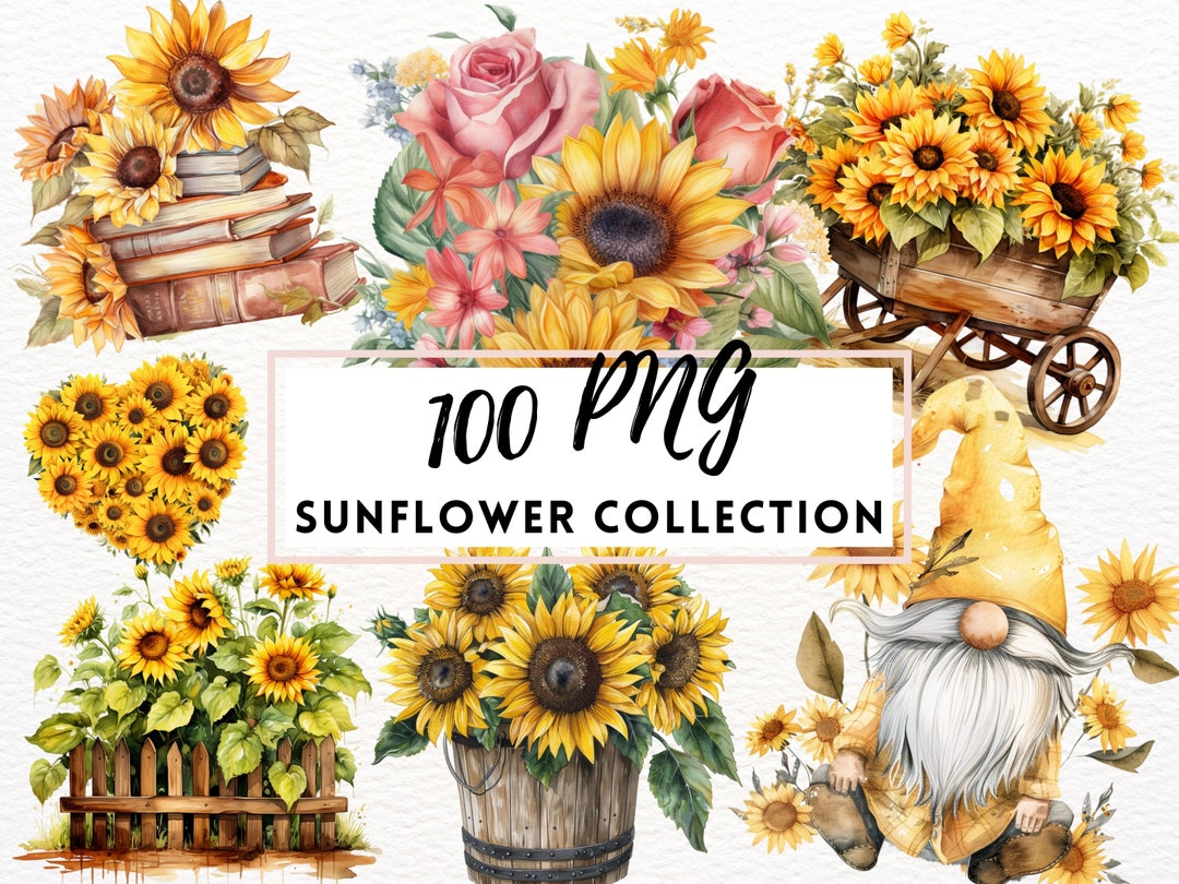 Set of 100 PNG, Sunflower Clipart Bundle, Watercolor Sunflower PNG ...