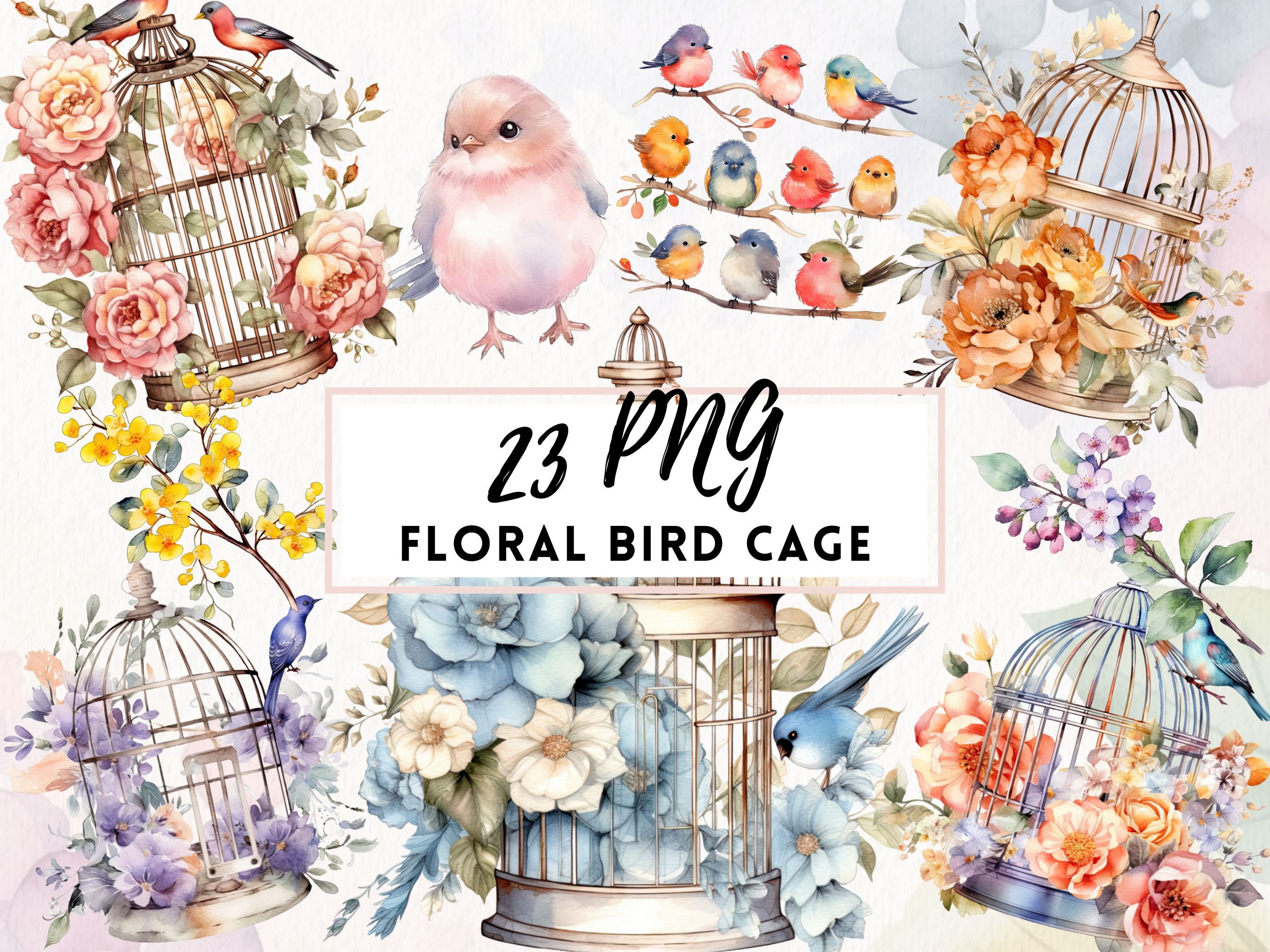 Watercolor BUNDLE Birdcage Clipart, Birds Clipart, Floral Branch ...