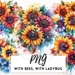 Rainbow Sunflowers Clipart, Watercolor Sunflower PNG, Sunflower Art ...