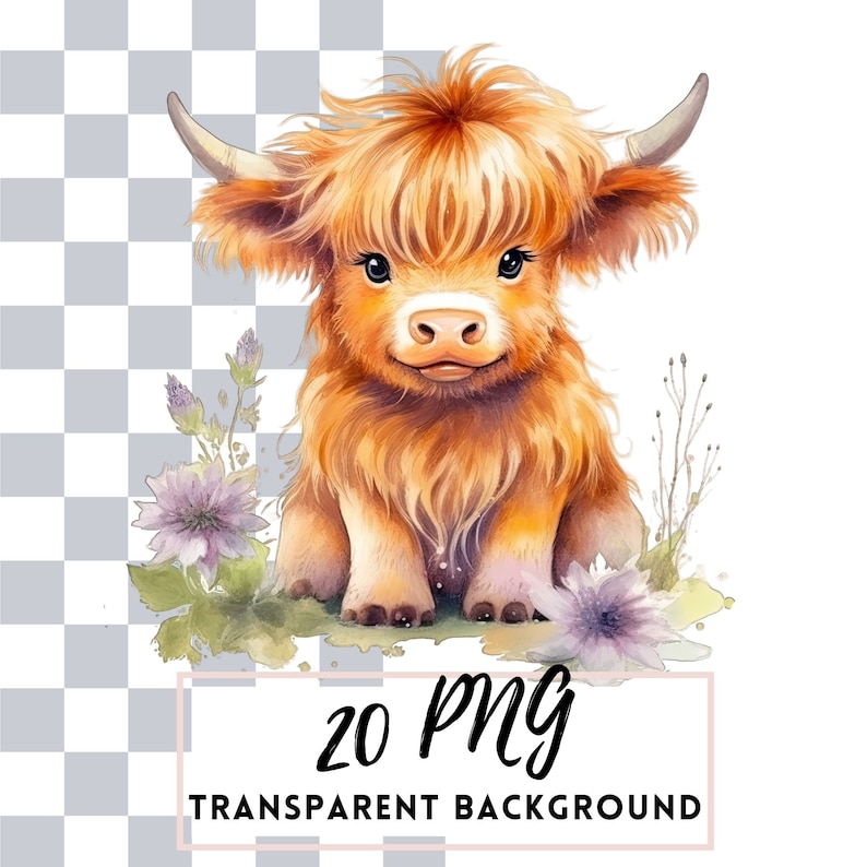 Highland Baby Cow Watercolor Clipart Cow PNG Bundle Highland - Etsy