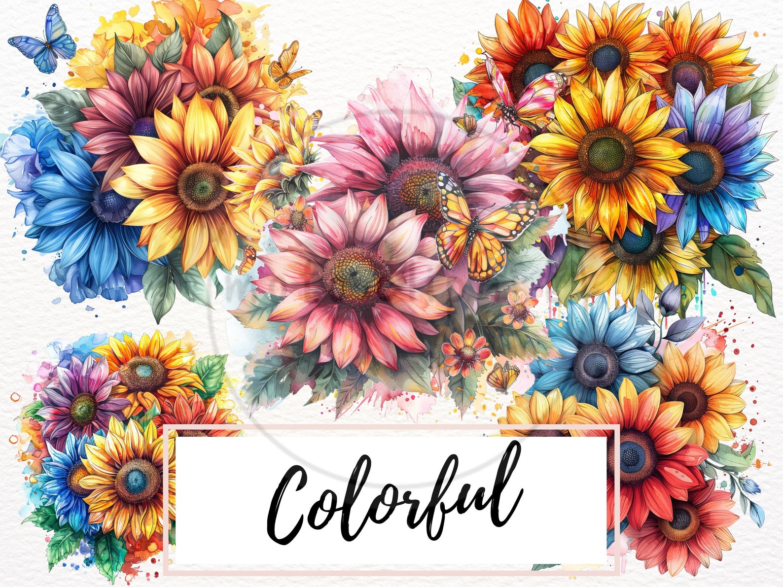 Rainbow Sunflowers Clipart, Watercolor Sunflower PNG, Sunflower Art ...