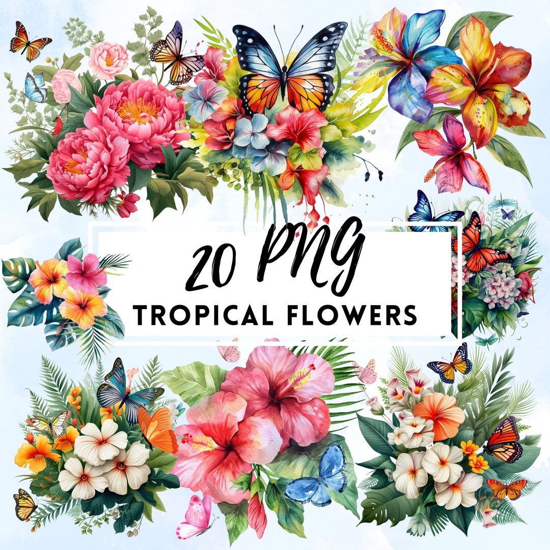 Tropical Flowers Watercolor Clipart Bundle, PNG Flower Images, Summer ...