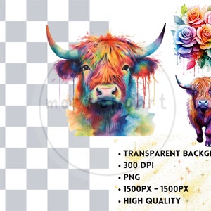 Rainbow Watercolor Highland Cow Clipart, Painted Highland Cow Clipart ...