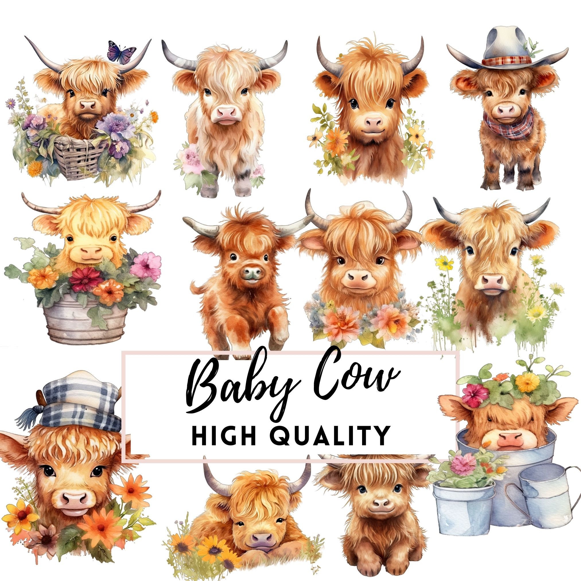 Highland Baby Cow Watercolor Clipart, Cow PNG Bundle, Highland Cow ...