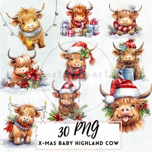 Christmas Baby Highland Cow Watercolor Clipart PNG Bundle (digital ...