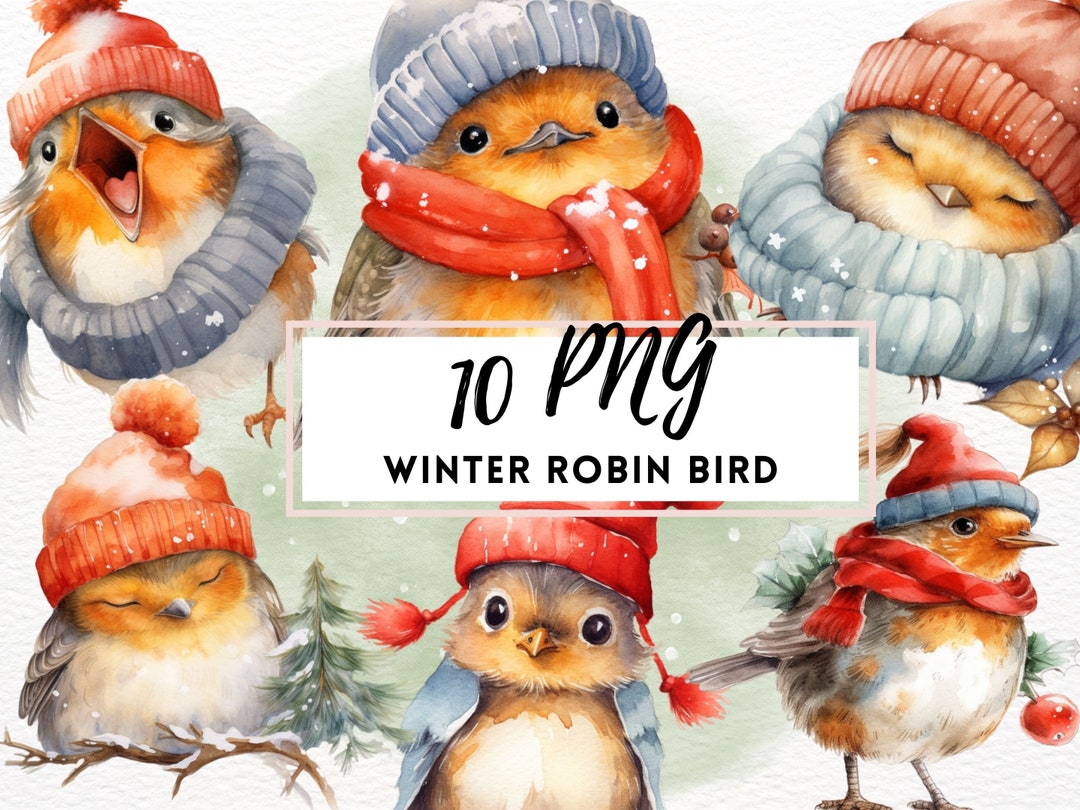 Winter Robin Bird, Robin in Wool Hat Clipart, Christmas Robin, Winter ...