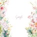 Clipart Floral Borders Clip Art Bundle Wild Flowers Borders Watercolor ...