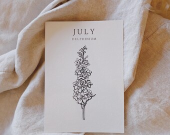 July Larkspur Birth Flower Art Print / Black and White Larkspur Drawing ...