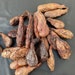 Castoreum, Canadian Beaver Castor, Musk Perfume Tincture Ingredients ...