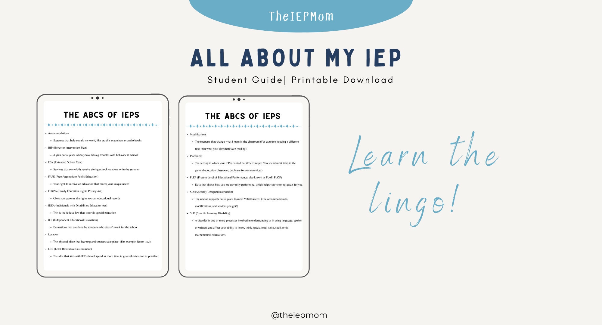 Printable | All About My IEP - Etsy