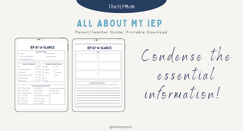 Printable | IEP At-a-glance - Etsy