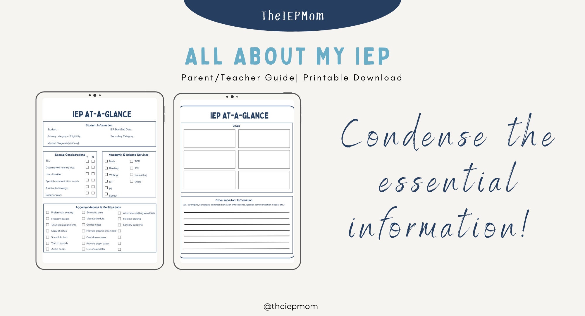 Printable | IEP At-a-glance - Etsy