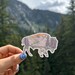 Wyoming Buffalo Bison Sticker Adventure Outdoor Sticker Mountain ...