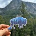Wyoming Buffalo Bison Sticker Adventure Outdoor Sticker - Etsy