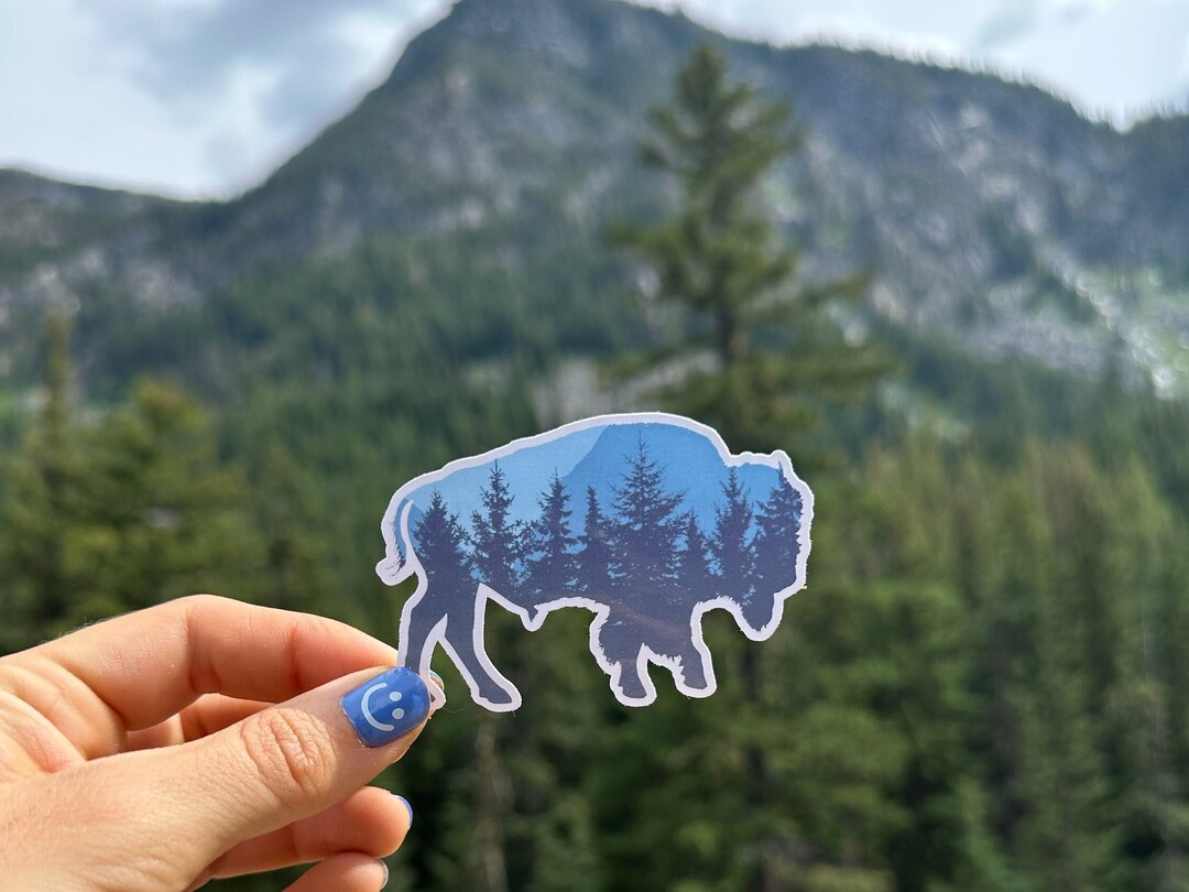 Wyoming Buffalo Bison Sticker Adventure Outdoor Sticker Mountain ...