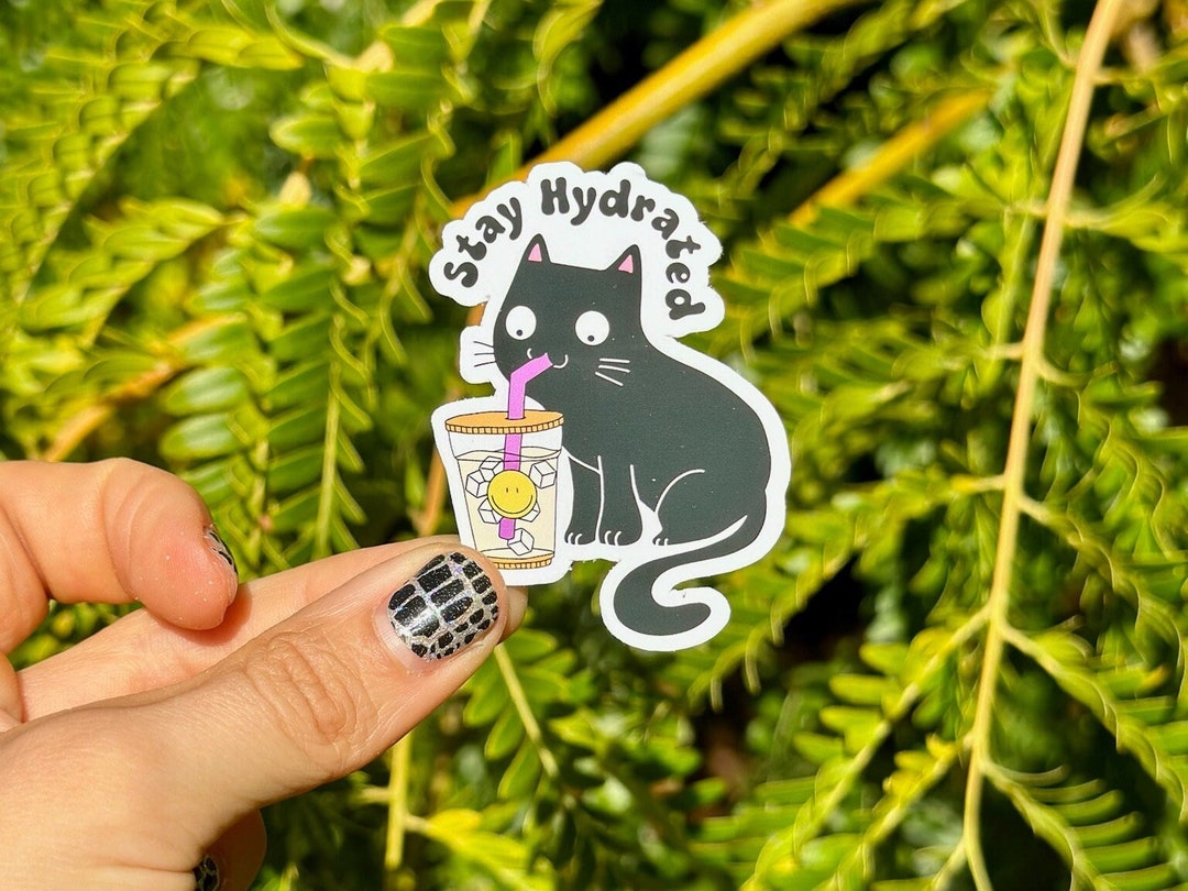 Stay Hydrated Sticker Hydrate or Diedrate Sticker Retro Cat Sticker ...