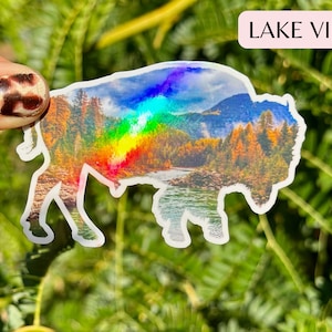 Wyoming Buffalo Bison Sticker Adventure Outdoor Sticker Mountain ...