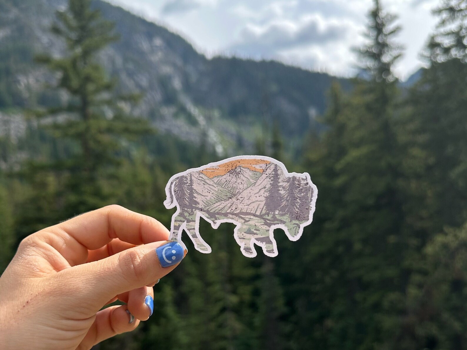 Wyoming Buffalo Bison Sticker Adventure Outdoor Sticker - Etsy