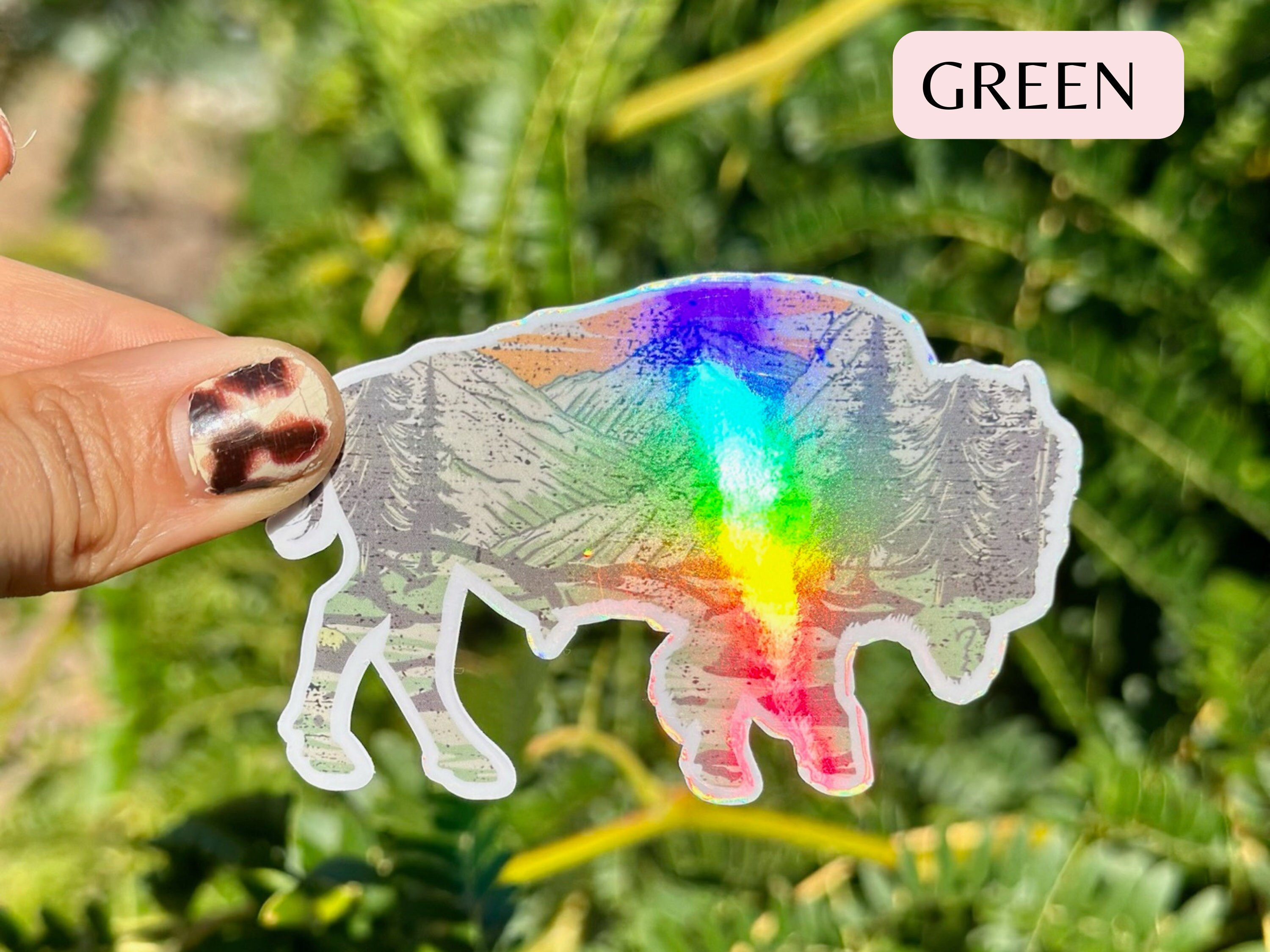 Wyoming Buffalo Bison Sticker Adventure Outdoor Sticker - Etsy