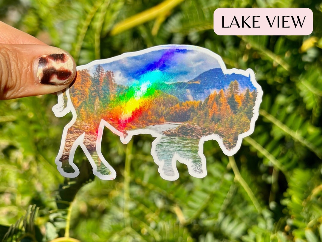 Wyoming Buffalo Sticker Bison Sticker Outdoor Mountain Sticker - Etsy