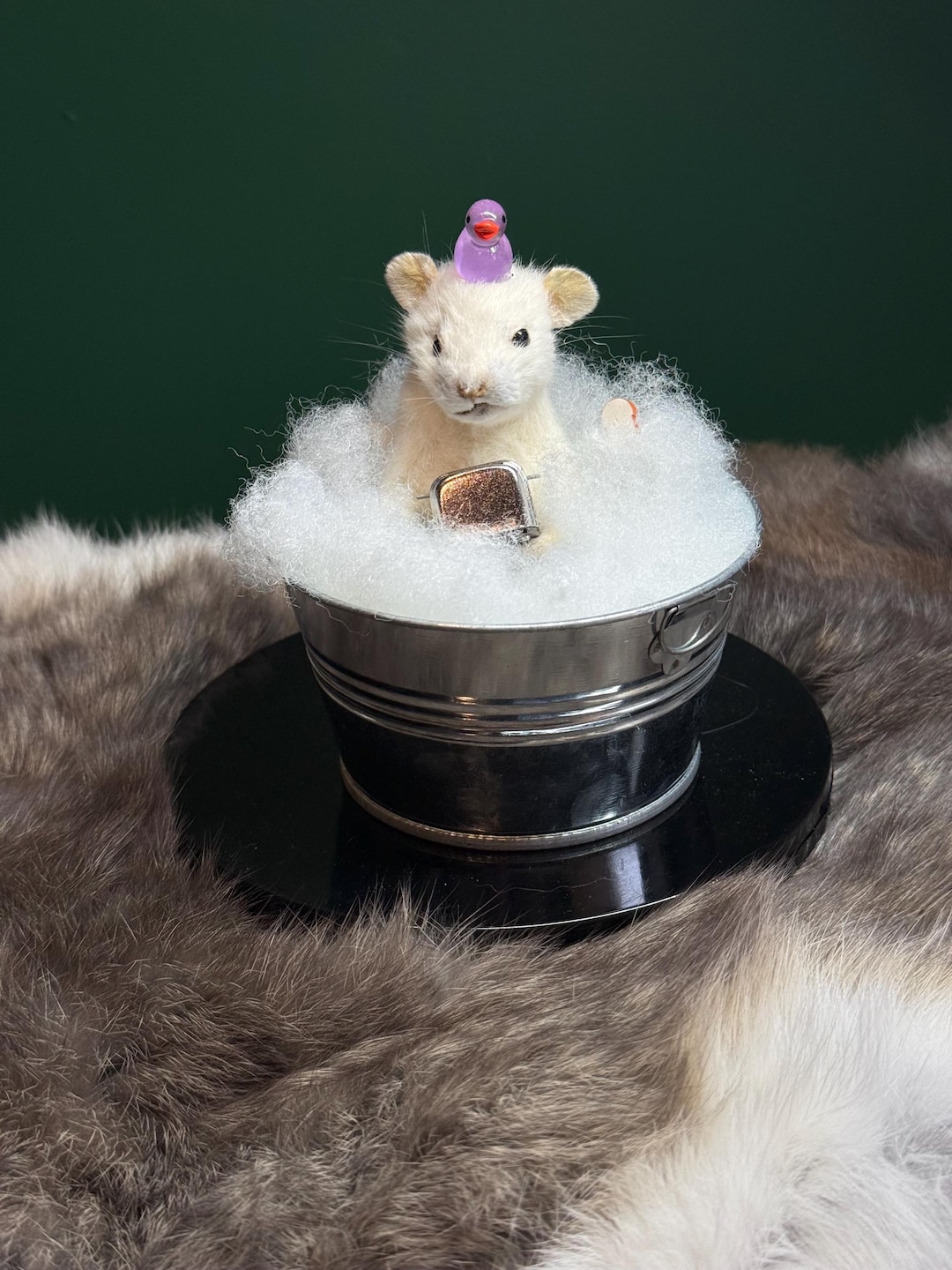 Live, Laugh, Toaster Bath Taxidermy Rat - Etsy
