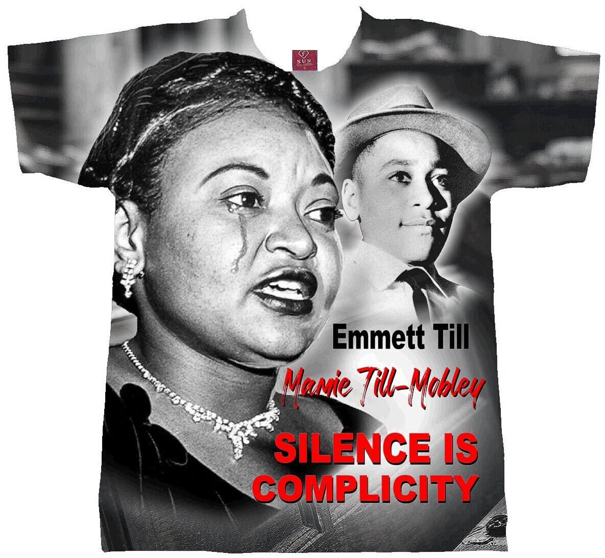 Mamie Till, Emmett Till, Harriet Tubman, Rosa Parks,famous Women ...