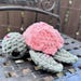 Zombie Turtle, Sea Turtle Plushie, Halloween Plushie, Spooky Crochet ...