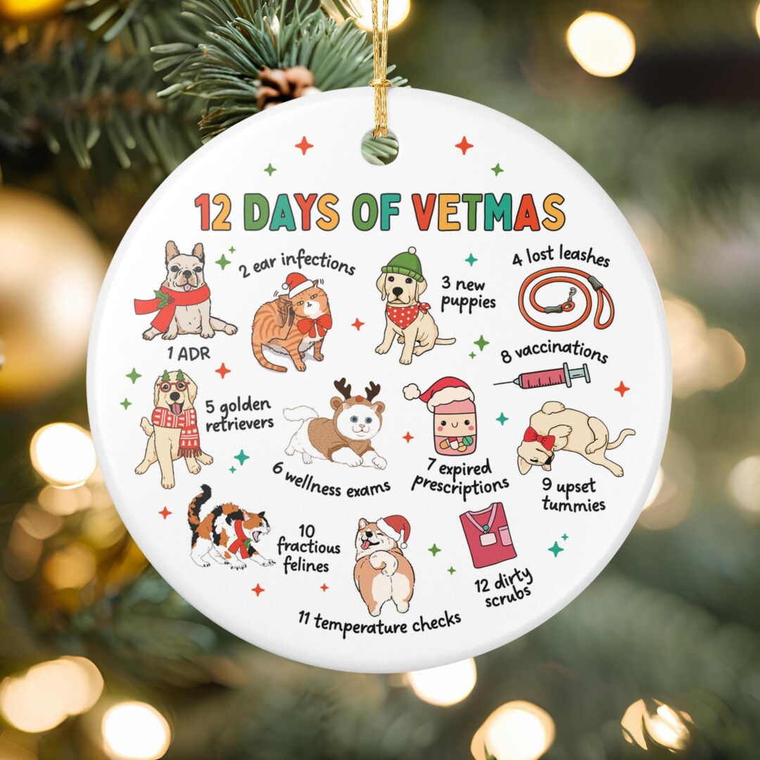 Veterinary Medicine Christmas Ornament, Funny Ceramic Vet Tech Tree ...