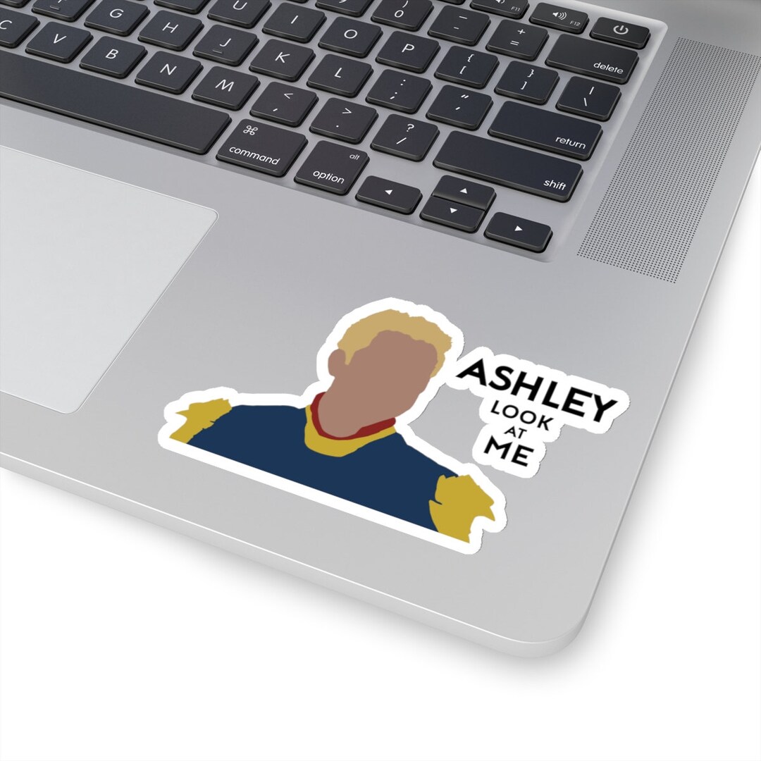 Ashley Look at Me, Sticker, Meme Vinyl Sticker, Tiktok Trending, the ...