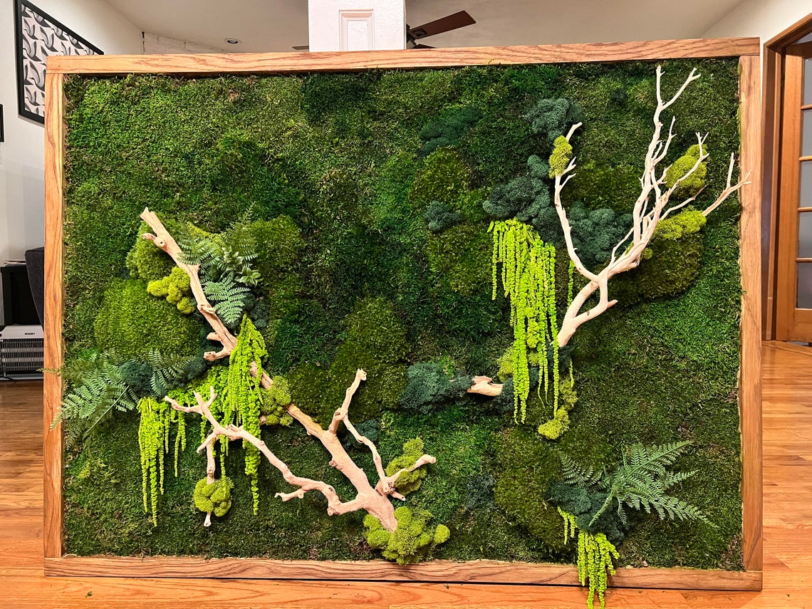 Large Custom Built Moss Walls (LA Delivery Only) - Etsy