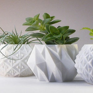 Custom 3D Printed Planters Unique and Personalized Home Decor - Etsy