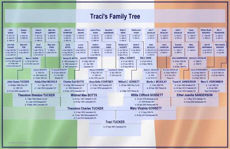 EDITABLE Family Tree Chart/diagram or Pedigree Chart Template - Six ...