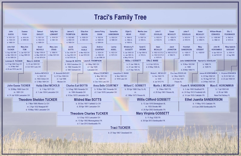 EDITABLE Family Tree Chart/diagram or Pedigree Chart Template - Six ...