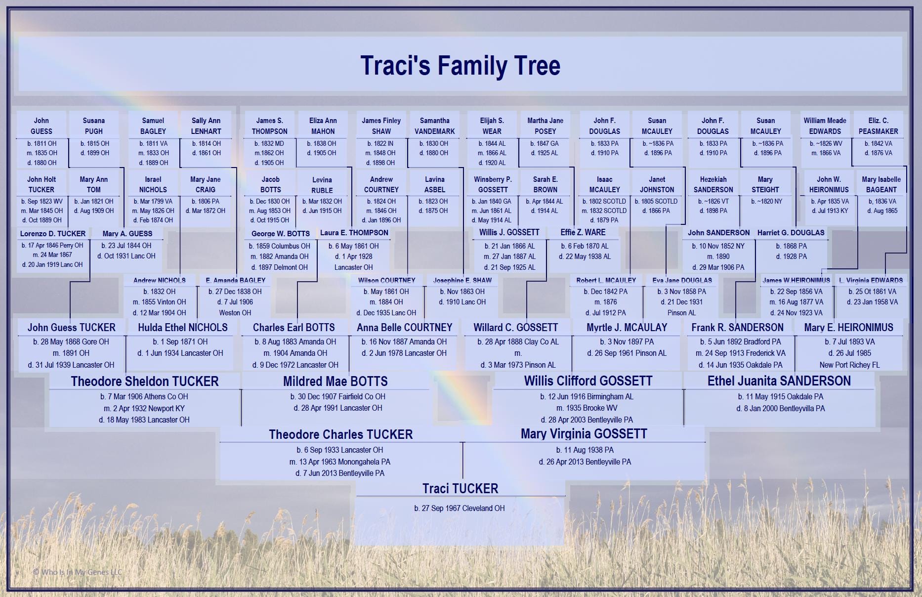 EDITABLE Family Tree Chart/diagram or Pedigree Chart Template - Six ...