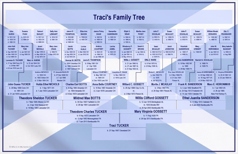 EDITABLE Family Tree Chart/diagram or Pedigree Chart Template - Six ...