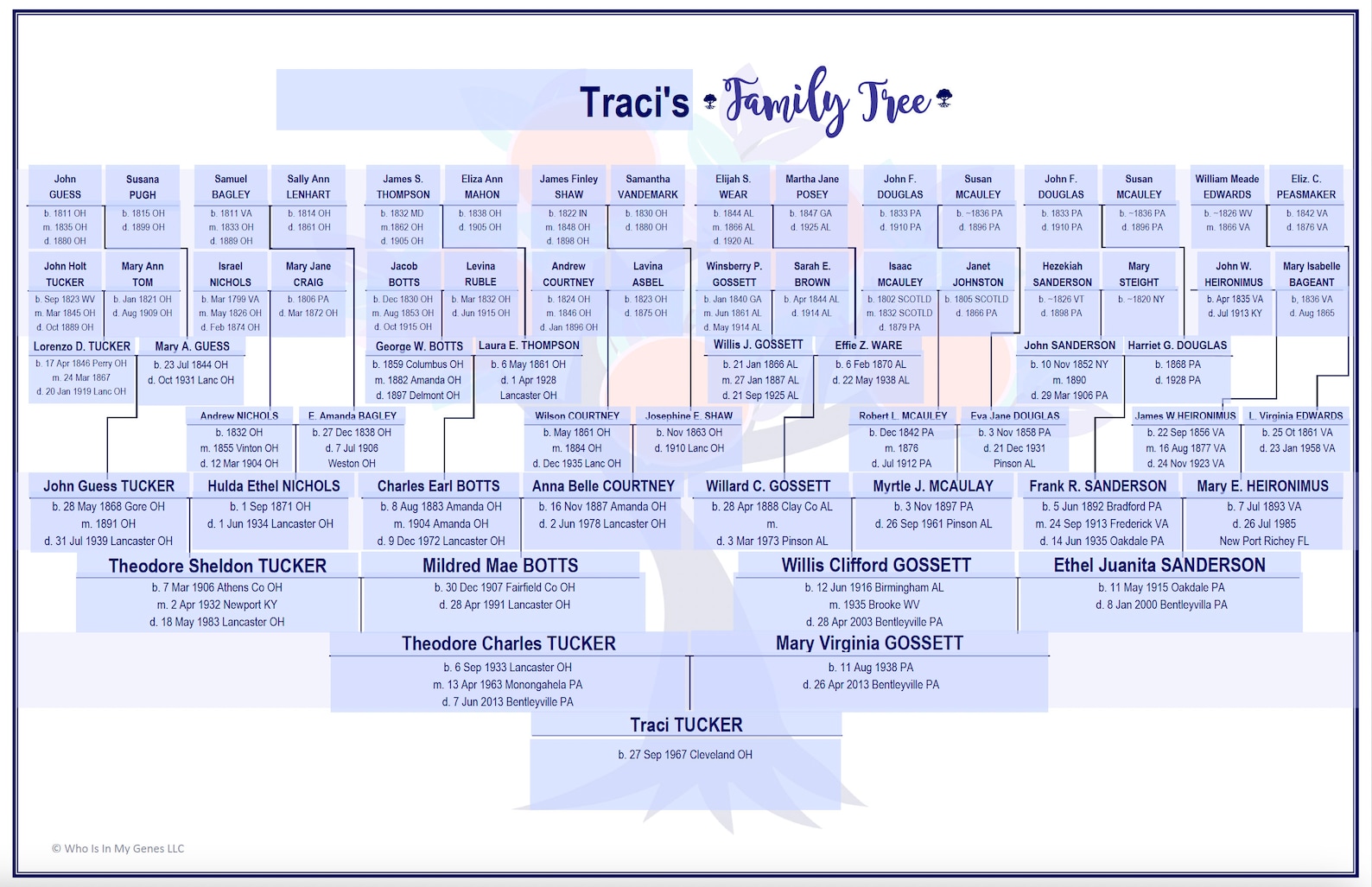 EDITABLE Family Tree Chart/diagram or Pedigree Chart Template - Six ...