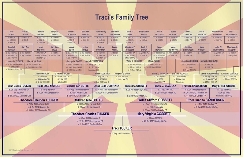 EDITABLE Family Tree Chart/diagram or Pedigree Chart Template - Six ...