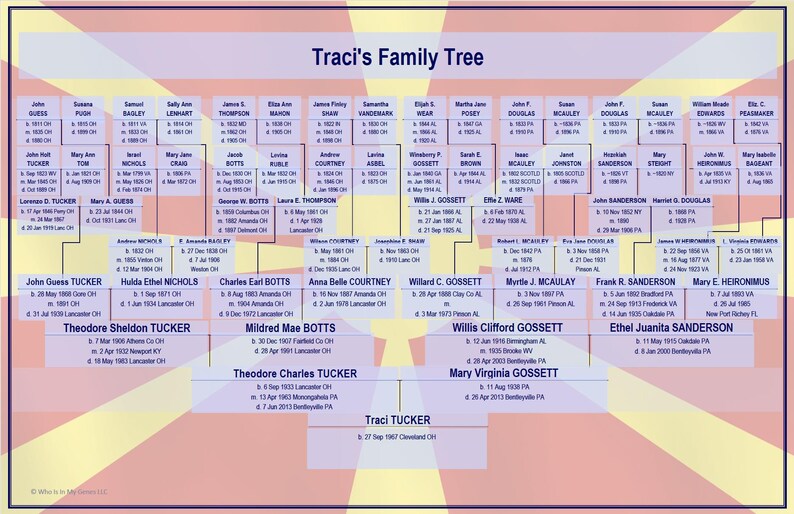 EDITABLE Family Tree Chart/diagram or Pedigree Chart Template - Six ...