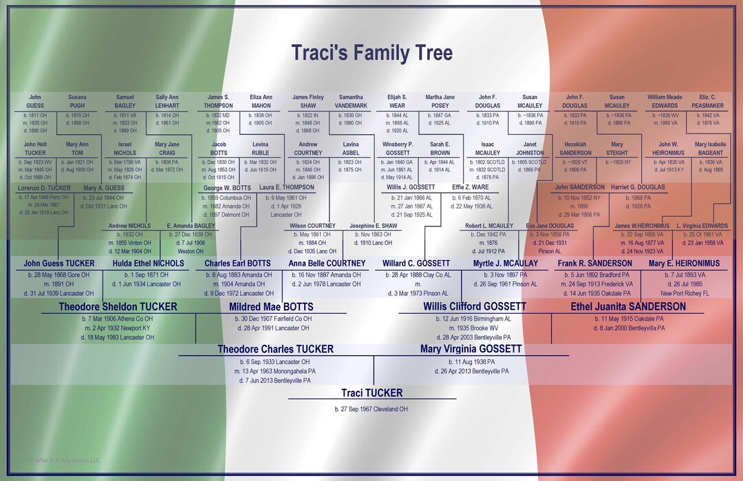 EDITABLE Family Tree Chart/diagram or Pedigree Chart Template - Six ...