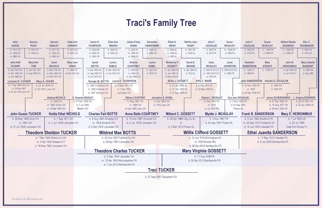 EDITABLE Family Tree Chart/diagram or Pedigree Chart Template - Six ...