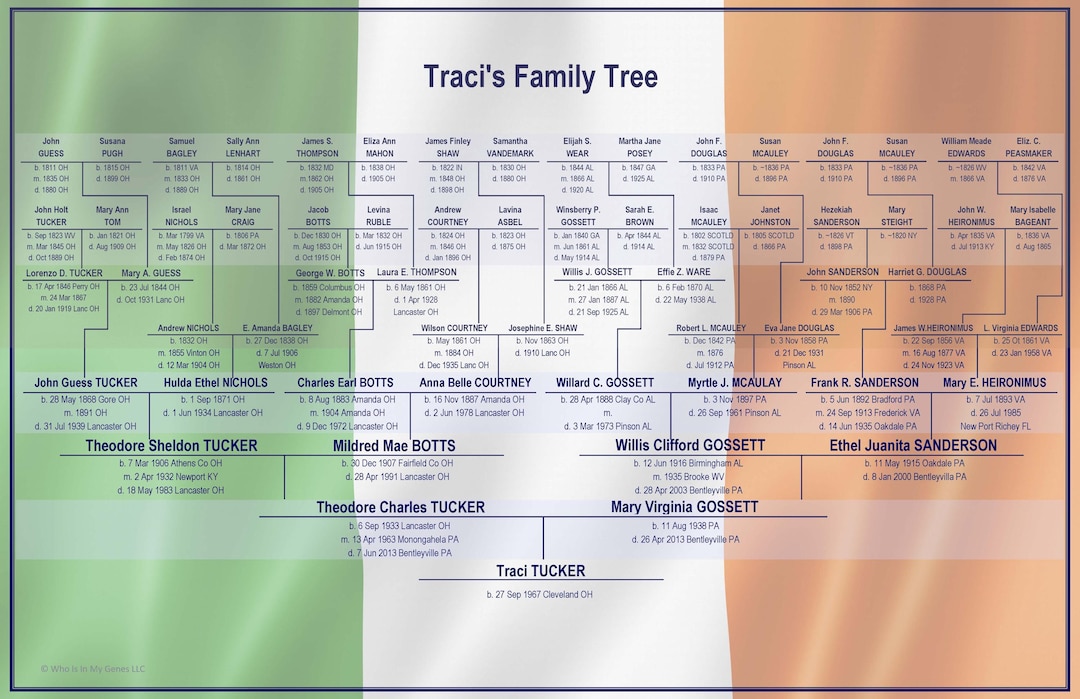 EDITABLE Family Tree Chart/diagram or Pedigree Chart Template - Six ...